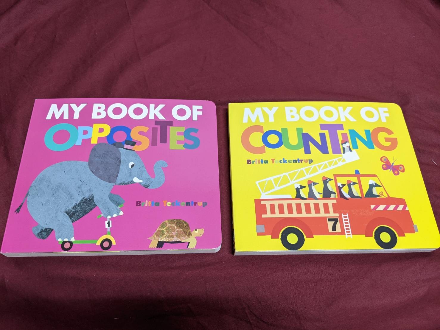 MY BOOK OF COUNTING、MY BOOK OF OPPOSITES - 寶寶共讀國M